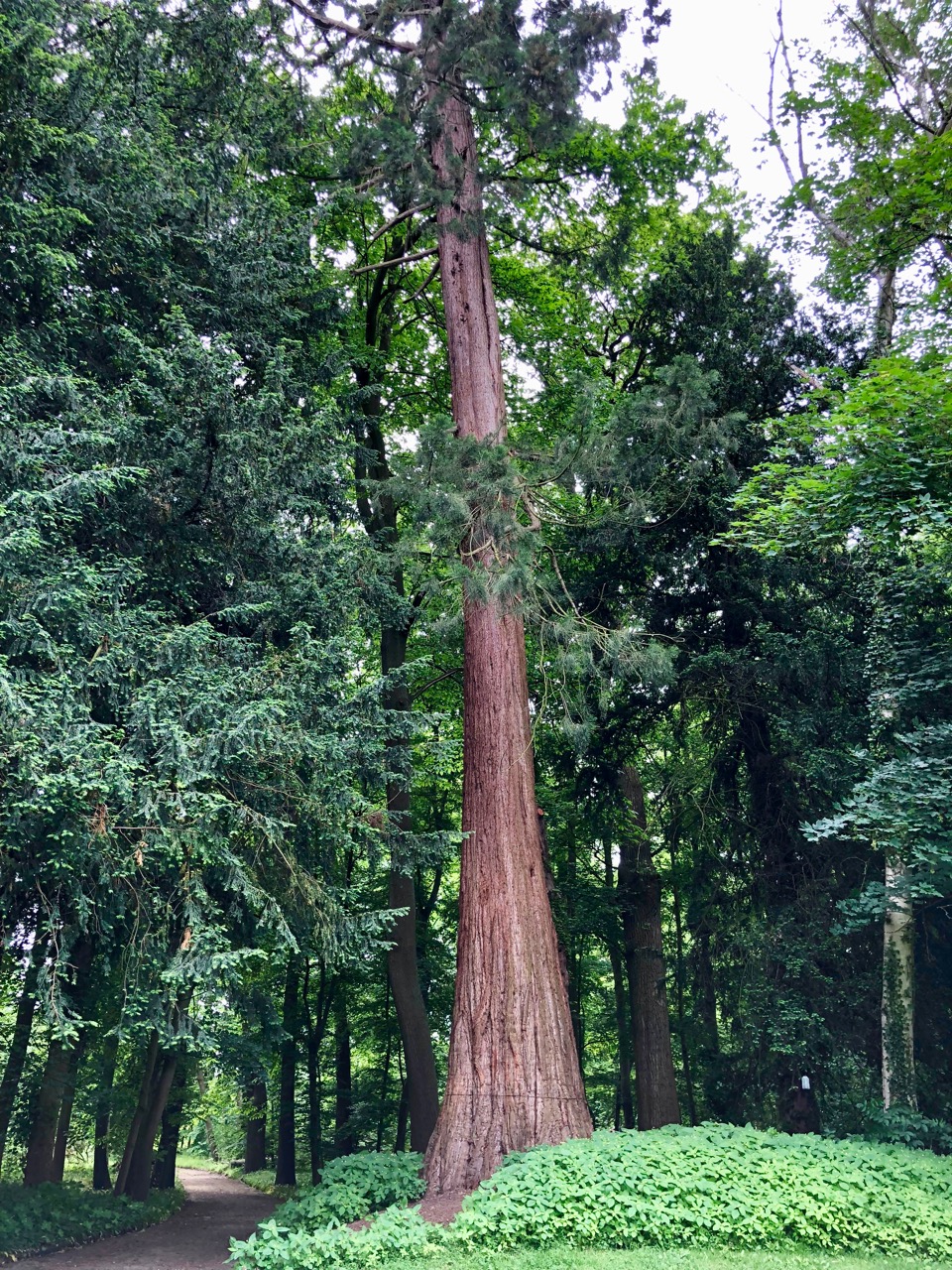 Au Jardin botanique de Meise, *le bonheur est dans le parc !* - Plus au ...