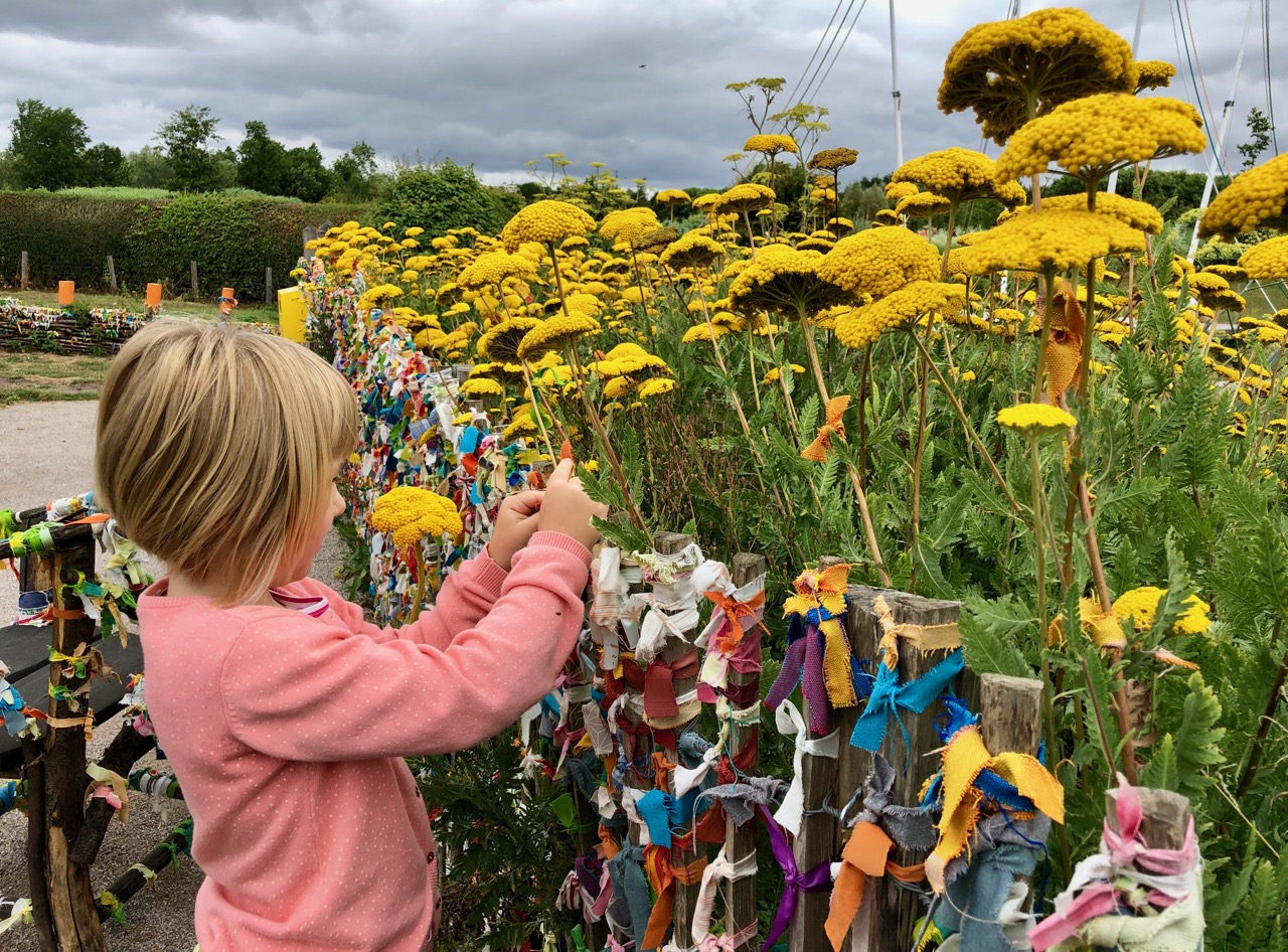 Sept bonnes raisons d’arpenter le parc Mosaïc, *un jardin vraiment ...