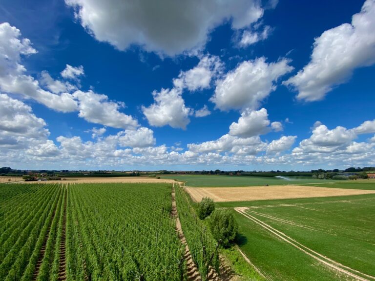 À Watou, le Bar Bernard et son rooftop *carrément top !* - Plus au nord