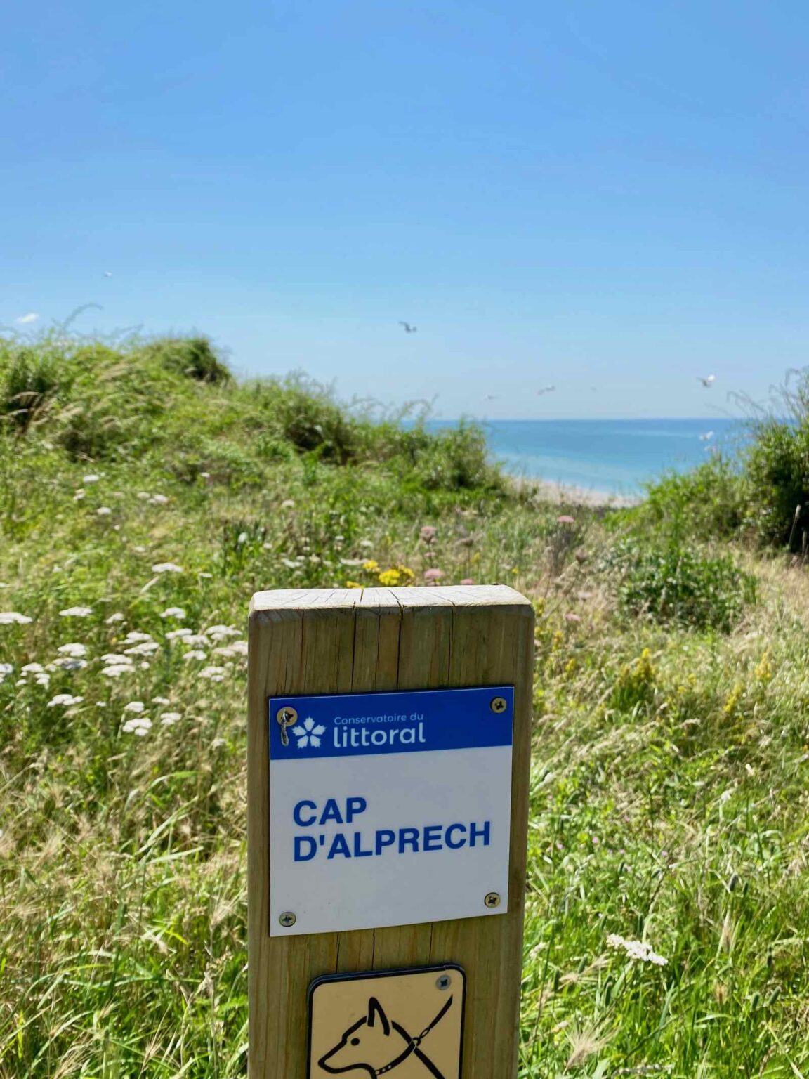 Sentier-des-Douaniers-Le-Portel-cap-d-Alprech - Plus au nord