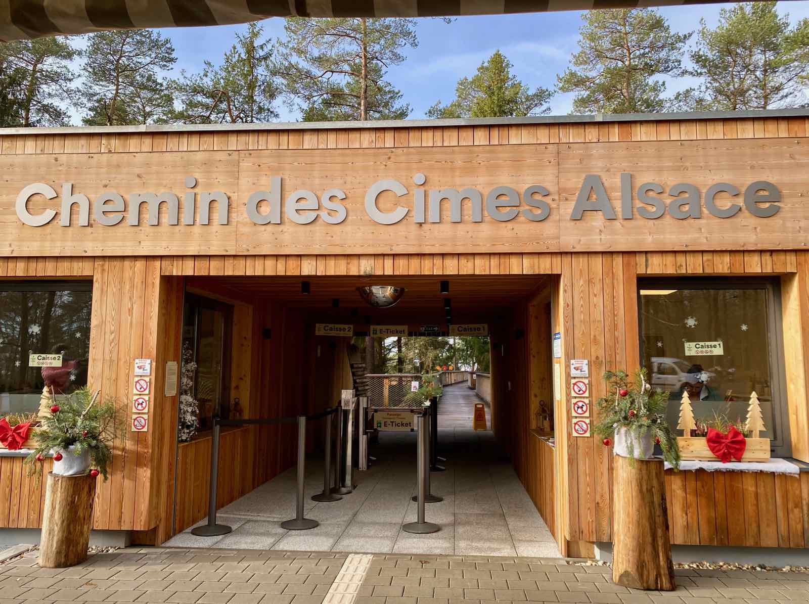 Le Chemin des Cimes Alsace *pour respirer au sommet des arbres* - Plus ...