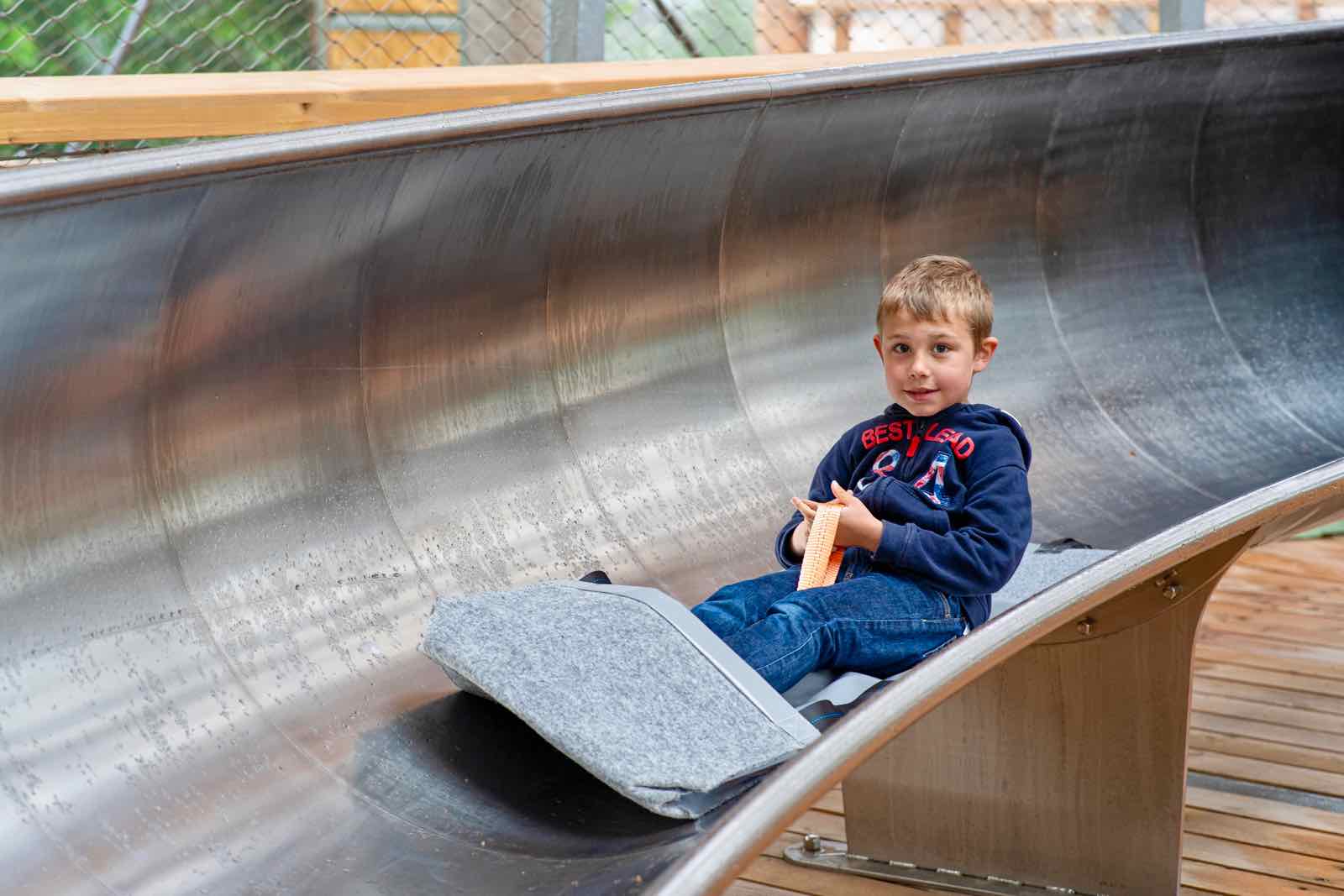 Le Chemin des Cimes Alsace *pour respirer au sommet des arbres* - Plus ...