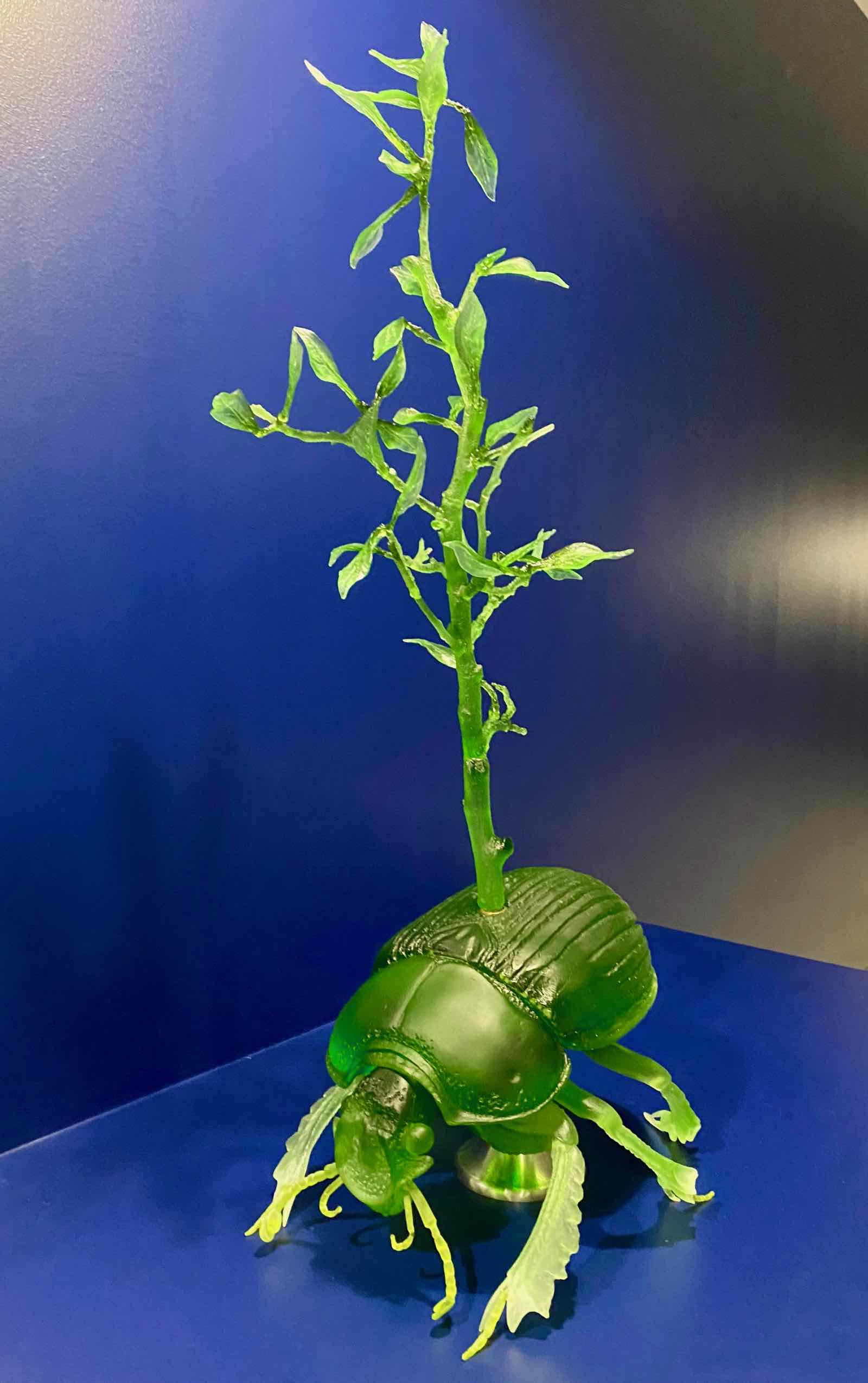 Au MusVerre, Cabinet de Curiosités *et autres merveilles* - Plus au nord